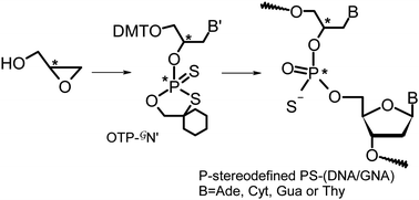 P-Stereodefined phosphorothioate analogs of glycol nucleic acids ...