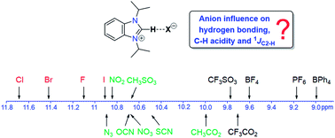 Anion influences on reactivity and NMR spectroscopic features of NHC ...