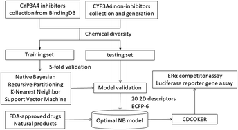 Screening of cytochrome P450 3A4 inhibitors via in silico and in vitro ...