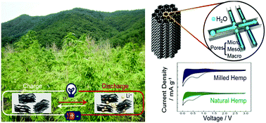 From grass to battery anode: agricultural biomass hemp-derived carbon ...