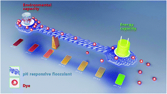 pH-responsive chitosan-based flocculant for precise dye flocculation ...