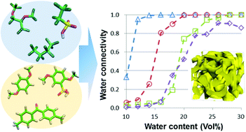 Theoretical analyses on water cluster structures in polymer electrolyte ...