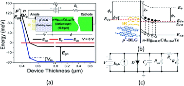 Bilayer graphene/HgCdTe based very long infrared photodetector with ...