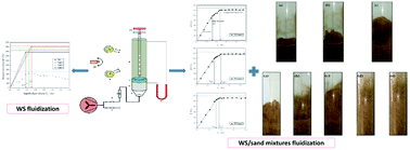 Experimental study on fluidization behaviors of walnut shell in a ...