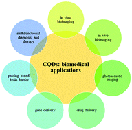 Carbon quantum dots and their biomedical and therapeutic applications ...