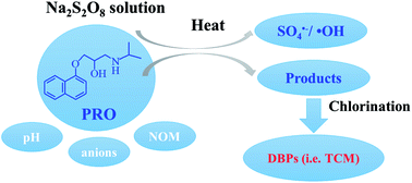 Kinetic and mechanistic investigations of the degradation of ...