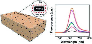 Metal-enhanced fluorescence in polymer composite films with Au@Ag@SiO2 ...