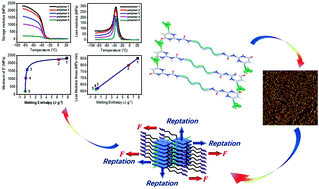 Microphase separation of a quadruple hydrogen bonding supramolecular ...