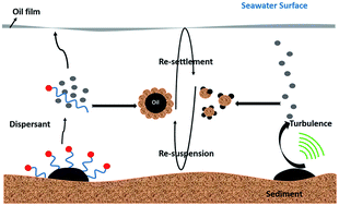 Petroleum hydrocarbon release behavior study in oil-sediment aggregates ...