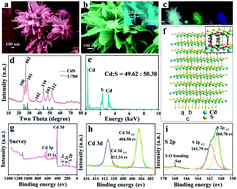 Bi-component synergic effect in lily-like CdS/Cu7S4 QDs for dye ...