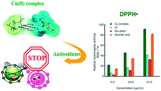 Experimental and theoretical evaluation on the antioxidant activity of ...