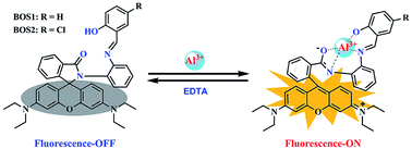New rhodamine B-based chromo-fluorogenic probes for highly selective detection of aluminium(iii ...
