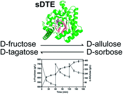 Biochemical characterization and biocatalytic application of a novel d ...