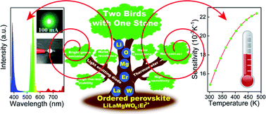 Simultaneous bifunctional application of solid-state lighting and ...