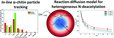A reaction–diffusion kinetic model for the heterogeneous N ...