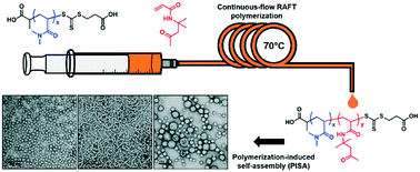 All-aqueous continuous-flow RAFT dispersion polymerisation for ...