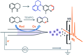 An integrated mass spectrometry platform enables picomole-scale real ...