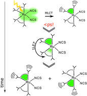 Ultrafast interligand electron transfer in cis-[Ru(4,4′-dicarboxylate-2 ...