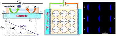 A single-electrode electrochemical system for multiplex ...