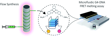 Development of microfluidic platforms for the synthesis of metal ...