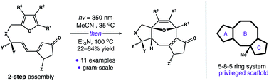 Modular access to functionalized 5–8–5 fused ring systems via a ...