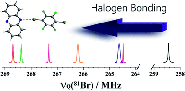 79/81Br nuclear quadrupole resonance spectroscopic characterization of ...