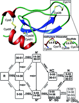 BPTI folding revisited: switching a disulfide into methylene thioacetal ...