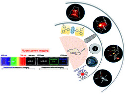 Recent advances in near-infrared II fluorophores for multifunctional ...
