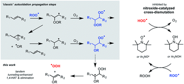 Inhibition of hydrocarbon autoxidation by nitroxide-catalyzed cross ...
