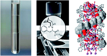 Norbornene chaotropic salts as low molecular mass ionic organogelators ...
