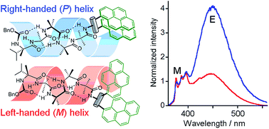 Bis-pyrene probes of foldamer conformation in solution and in ...