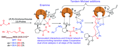 Two chiral catalysts in action: insights into cooperativity and ...