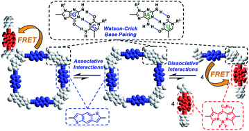 Understanding complex supramolecular landscapes: non-covalent ...