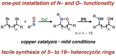 Direct introduction of nitrogen and oxygen functionality with spatial ...
