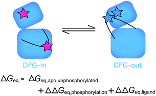 Ligand discrimination between active and inactive activation loop ...
