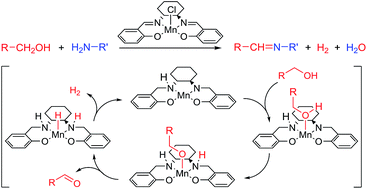 Development and mechanistic investigation of the manganese(iii) salen ...