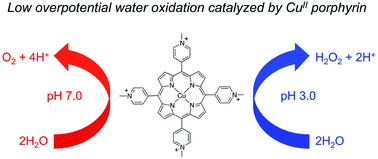 Low overpotential water oxidation at neutral pH catalyzed by a copper ...