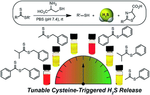Dithioesters: simple, tunable, cysteine-selective H2S donors - Chemical ...