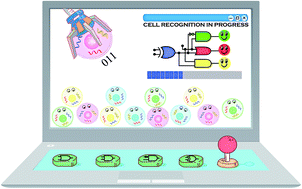 Programmable intracellular DNA biocomputing circuits for reliable cell ...