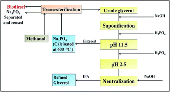 Sodium phosphate synthesis through glycerol purification and its ...