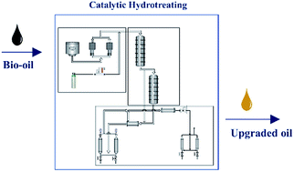Hydrotreating of Hydrofaction™ biocrude in the presence of presulfided ...