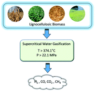Supercritical water gasification of biomass: a state-of-the-art review ...