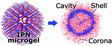 Shell–corona microgels from double interpenetrating networks - Soft ...