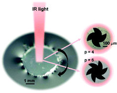 Rotation of a floating hydrophobic disk: influence of line tension ...