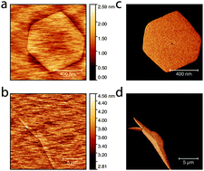 Crystallization of low molecular weight atactic polystyrene - Soft ...