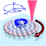 Laning, thinning and thickening of sheared colloids in a two ...
