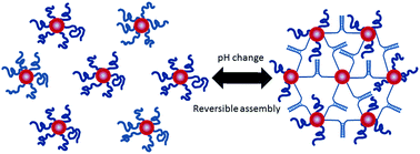 Liquid interfaces with pH-switchable nanoparticle arrays - Soft Matter ...