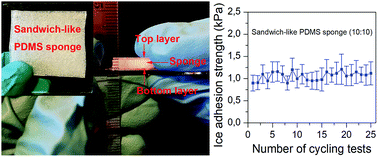 Design and preparation of sandwich-like polydimethylsiloxane (PDMS ...