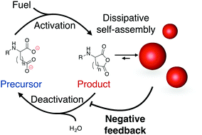Dissipative assemblies that inhibit their deactivation - Soft Matter ...