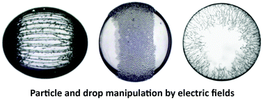 Particle-covered drops in electric fields: drop deformation and surface ...